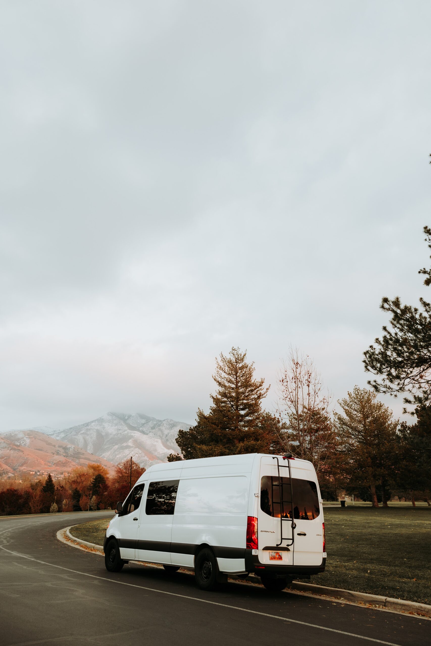 Pop Culture Drag Race: Thornberrys vs. Scooby Doo - Car Culture ...